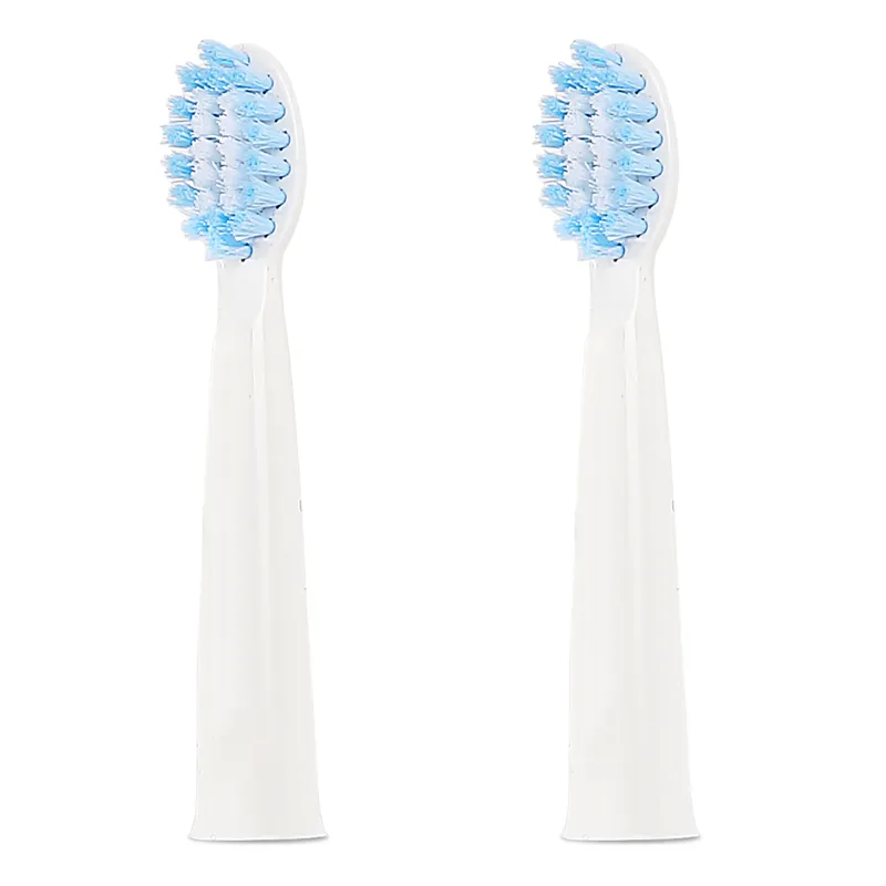 Electric Toothbrush Heads | Model - Buzz | Pack of 2